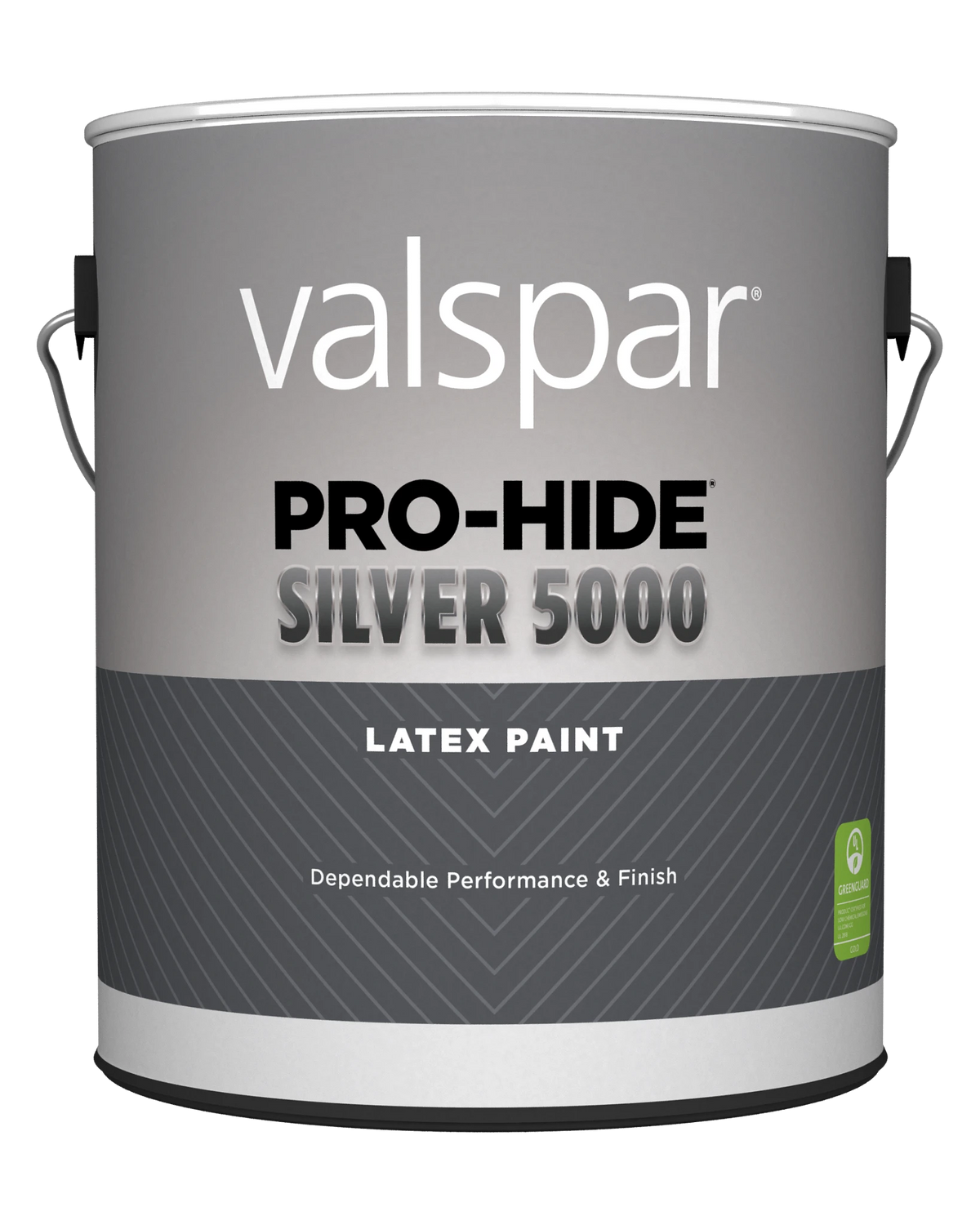 Pro-Hide® Silver 5000 Interior Paint — Casa Rodriguez