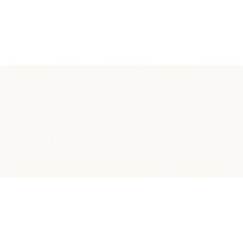 Arctic White Glossy 12 x 24 — Casa Rodriguez